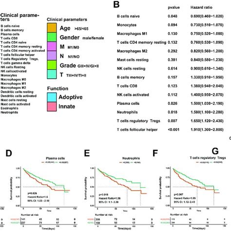 Correlation Between Immune Infiltration And Clinical Parameters In