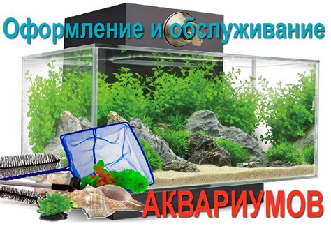 Интернет-магазин аквариумов, аквариумных рыбок в Воронеже, Зоомагазин ...