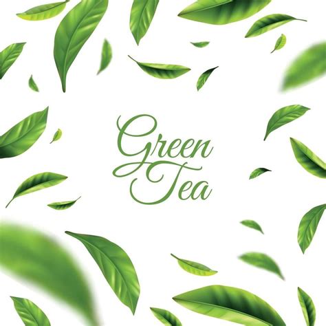 Green Tea Background Vector Illustration