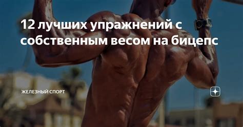 12 лучших упражнений с собственным весом на бицепс Железный спорт Дзен
