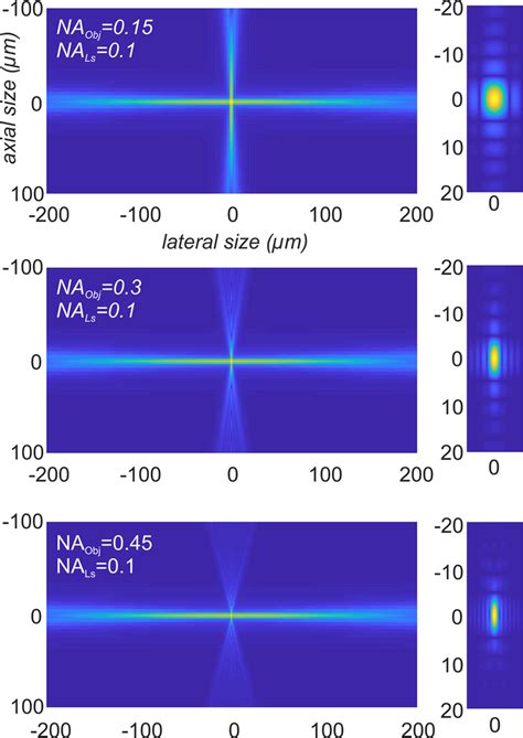 Light Sheet Microscopy Modelling At Vicki Howes Blog