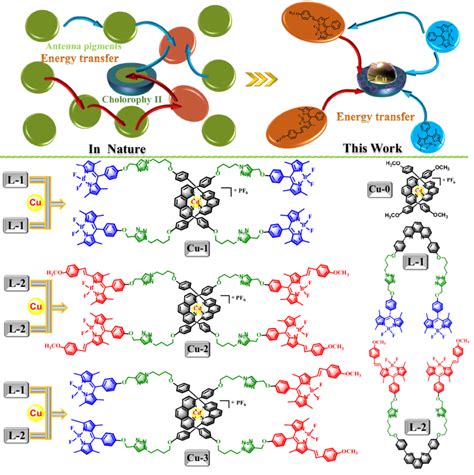 Scheme 1 Molecular Design And Structures Up The Molecular Design By