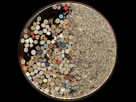 Ngi Environmental Toxins Microplastics And Biochar