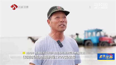 全聚焦丰收的夏日 荔枝网新闻