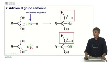 Descubre El Proceso De Esterificación Una Reacción Química Clave 2025
