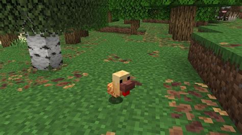 Minecraft Chicken Variants Everything You Need To Know
