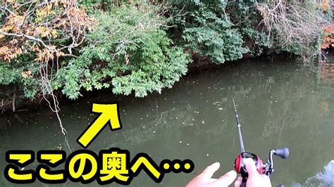 冬の亀山ダムでビッグベイトを投げ続けたら Youtube