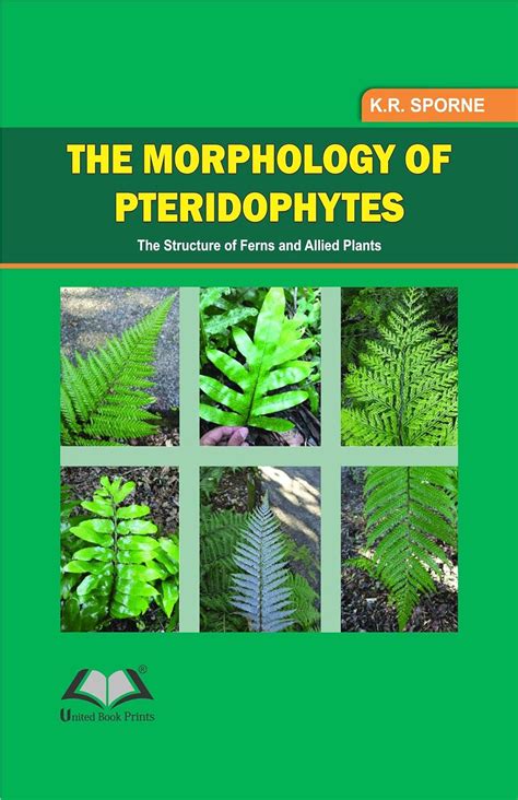 Buy The Morphology Of Pteridophytes The Structure Of Ferns And Apllied