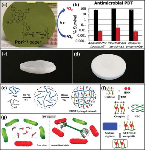 A Preparation Diagram Of Ps Paper Conjugates And B Antibacterial