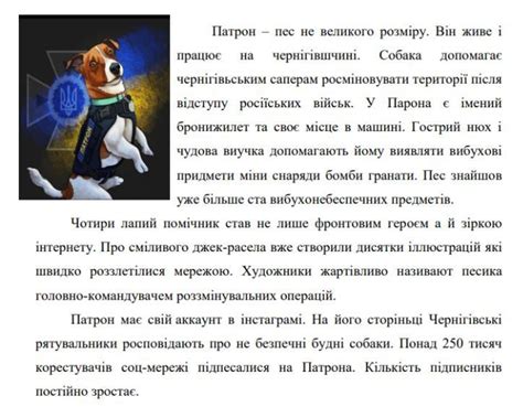 Виправити помилки розставити розділові знаки записати в зошит і додати зняток диктанту у форму