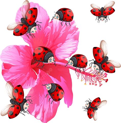 Ladybugs Flying Around The Flower Living Background Clipping Vector