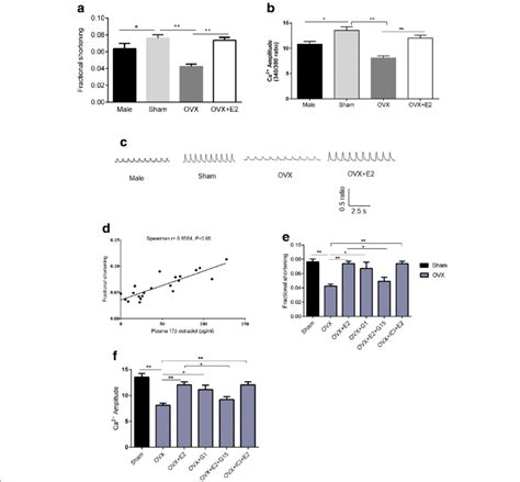 Influence Of Estrogen On Sex Differences In Basal Contraction A Download Scientific Diagram