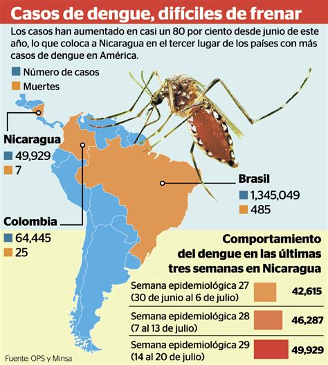 Ministerio De Salud Contabiliza Más De Tres Mil Casos De Dengue Por Semana