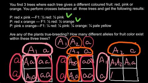 Nikolays Genetics Lessons On Linkedin How To Analyze And Solve