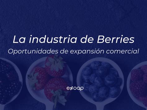 Exportación De Café Mexicano