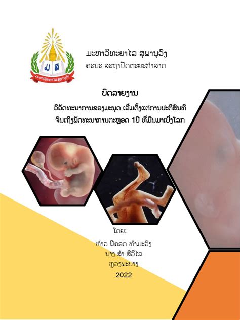 ບົດລາຍງານ ຈິດຕະວິທະຍາ Pdf Pdf