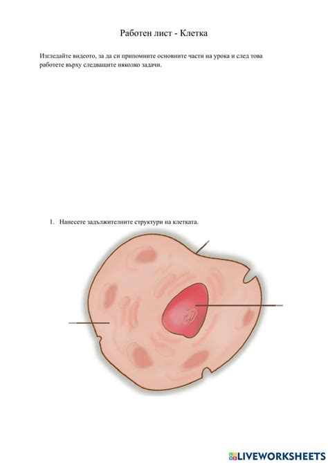 Клетката основна градивна единица на организмите