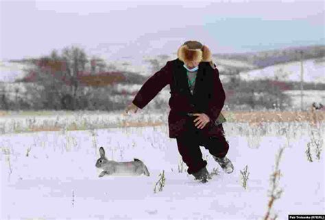 Беркучи грабливите ловци които се борят за победата