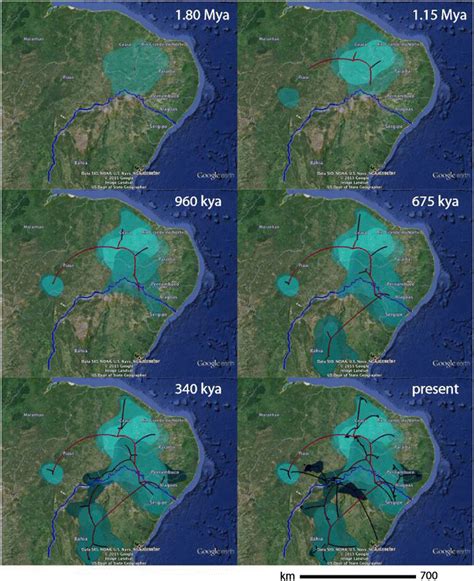 Bayesian Spatiotemporal Diffusion Of Tropidurus Semitaeniatus Complex Download Scientific