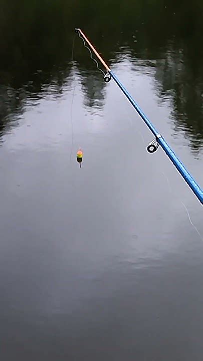 Float Fishing Youtube