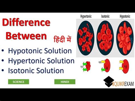 What Is Difference Between Hypotonic Hypertonic And Isotonic Solution Science Hindi