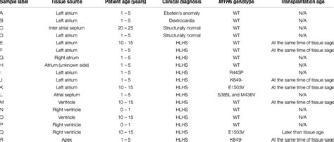 Tissue Characteristics For Figure 6 Download Scientific Diagram