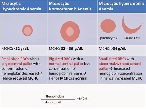 Haematology In A Nutshell Red Cell Indices