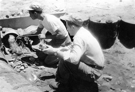 Medía 20 Centímetros Y Pesaba Dos Kilos La Fascinante Historia De La Perra Que Salvó 40 Aviones