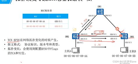Stp协议 Csdn博客