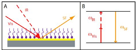 Sum Frequency Generation Scheme A Sum Frequency Generation Occurs