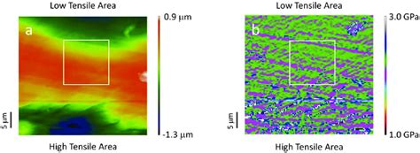 Afm Mapping Results With The Dimension M M In The Th Point