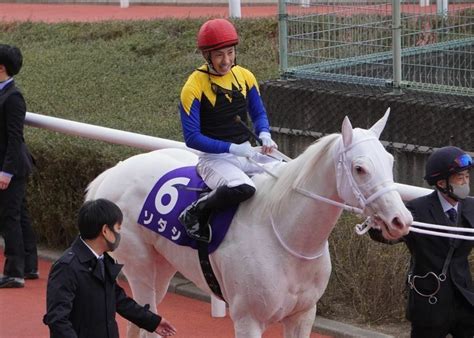 吉田隼人騎手の現在。落馬事故から気になる容態は？復帰はあるのか調べてみた