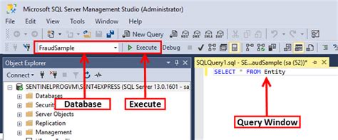 Execute A Query