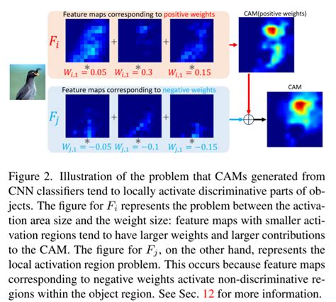 Cam Back Again Large Kernel Cnns From A Weakly Supervised Objectlocalization Perspective 论文解读