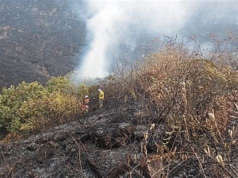 Incendios Forestales Mindef Declara En Emergencia A Cajamarca Huánuco