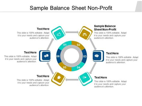 Sample Balance Sheet Non Profit Ppt Powerpoint Presentation