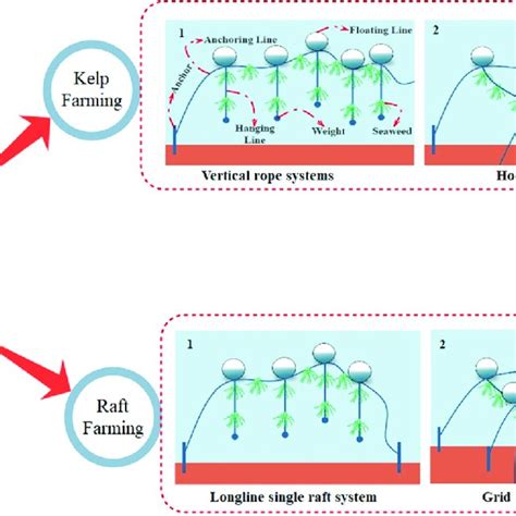 Various Methods Of Macroalgae Cultivation System Download Scientific Diagram