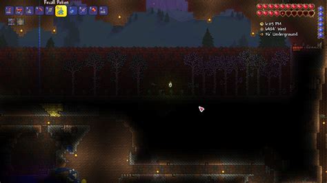 Why Are My Gemstone Trees Taking Sooo Long To Grow Terraria