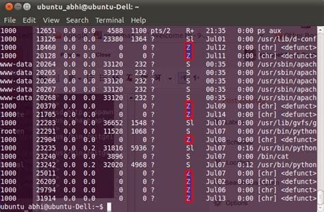 About Linux Top Vs Ps Command
