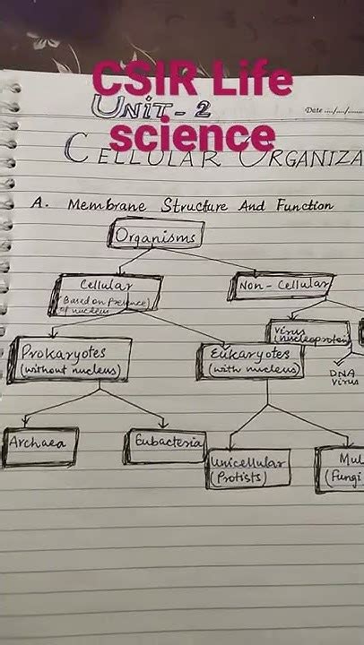 Csir Net Life Science Cellular Organization Unit 3encourageedu Youtube