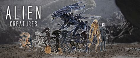 Alien Creatures By Lagrie On Deviantart