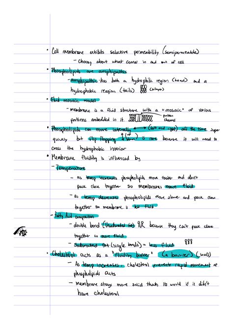 Solution Chapter 7 Membrane Structure And Function Studypool