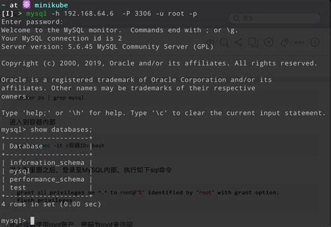 Kubernetes微型实战2 Kubernetes部署单机mysql Schwarzenis Blog