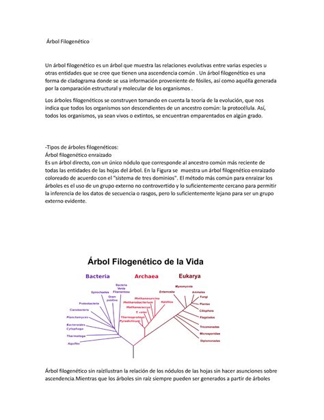 Árbol Filogenético Árbol Filogenético Un árbol Filogenético Es Un