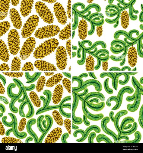 Spruce Seamless Patterns Set Spruce Branches And Cones Vector