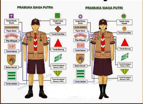 Baju Pramuka Lengkap Atribut Homecare24