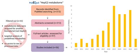 Metabolites Free Full Text The Expectation And Reality Of The HepG2