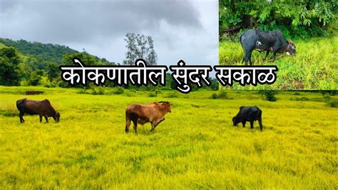 कोकणातील सुंदर सकाळ🌺🙏 आपलंकोकण🏝️ Viral Viralvideo Youtube