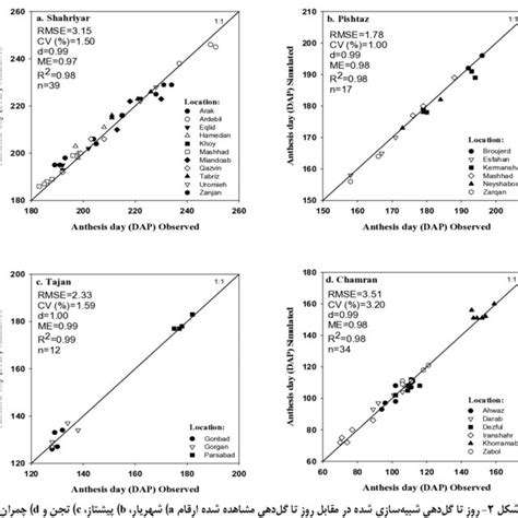 Observed Versus Simulated Grain Yields With The Dssat Nwheat Model For Download Scientific