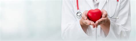 Windsor Heart And Specialist Centre Cardiologist Group Adelaide Australia